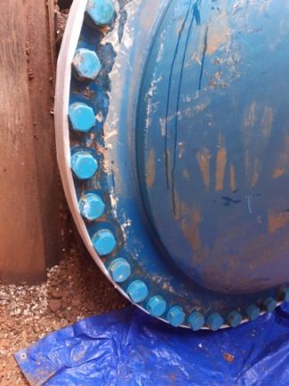 Case Study: Sealing Pipe Flange Against Tree Root Ingress